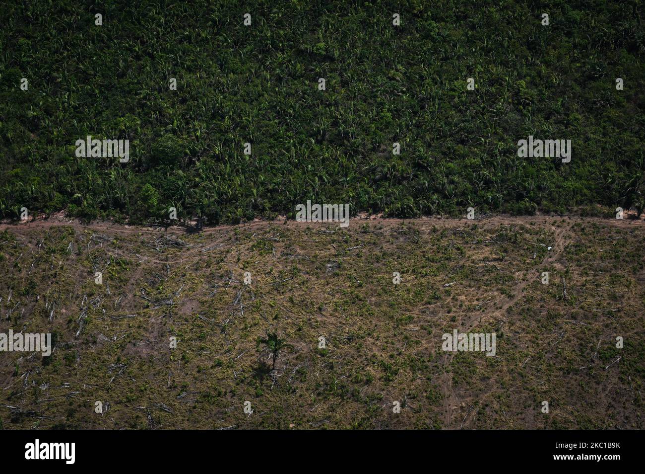 Guajajara indigenous village of urucu jurua hi-res stock photography ...