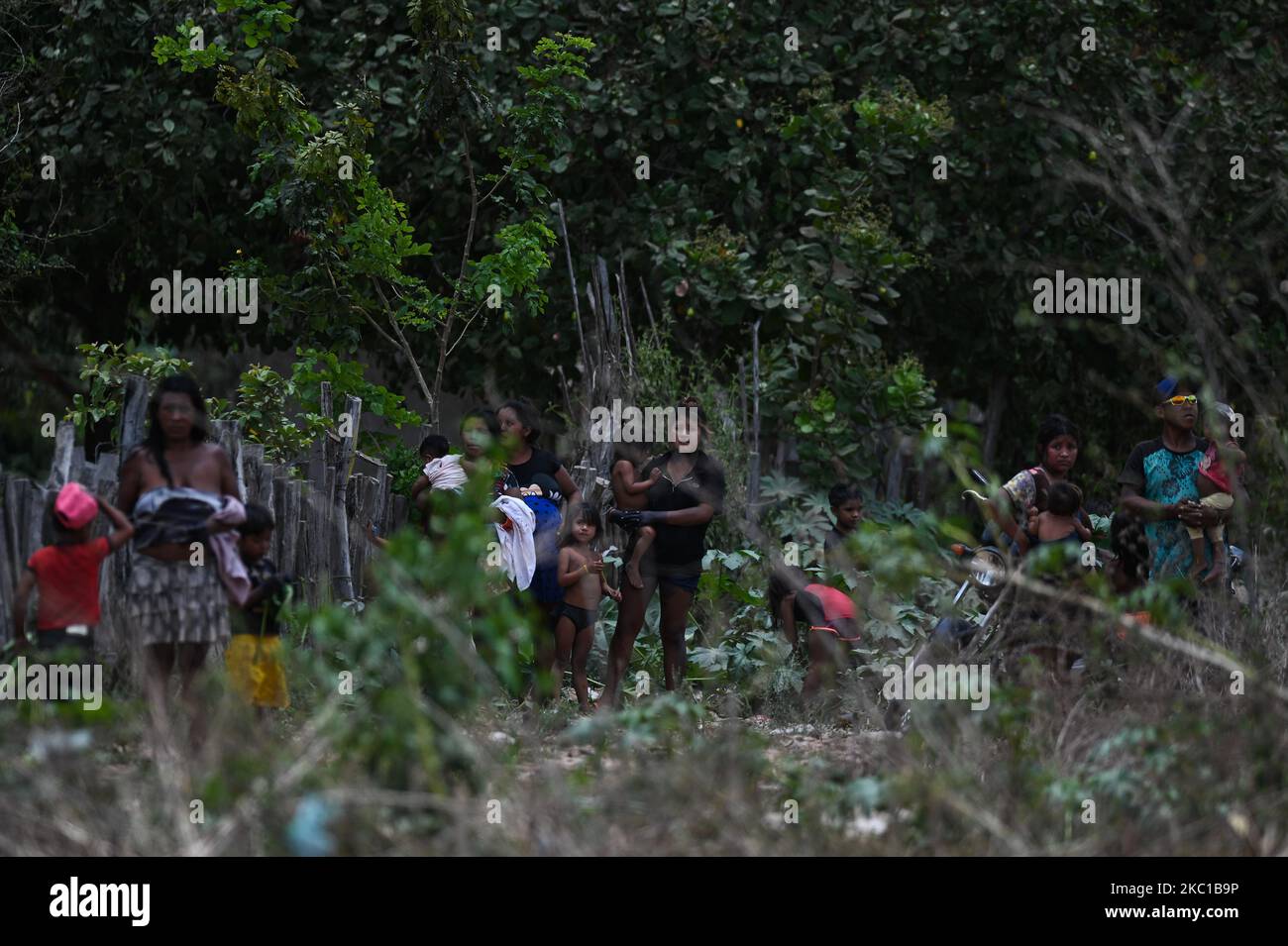 Members of the indigenous Guajajara ethnic group are seen amid the ...