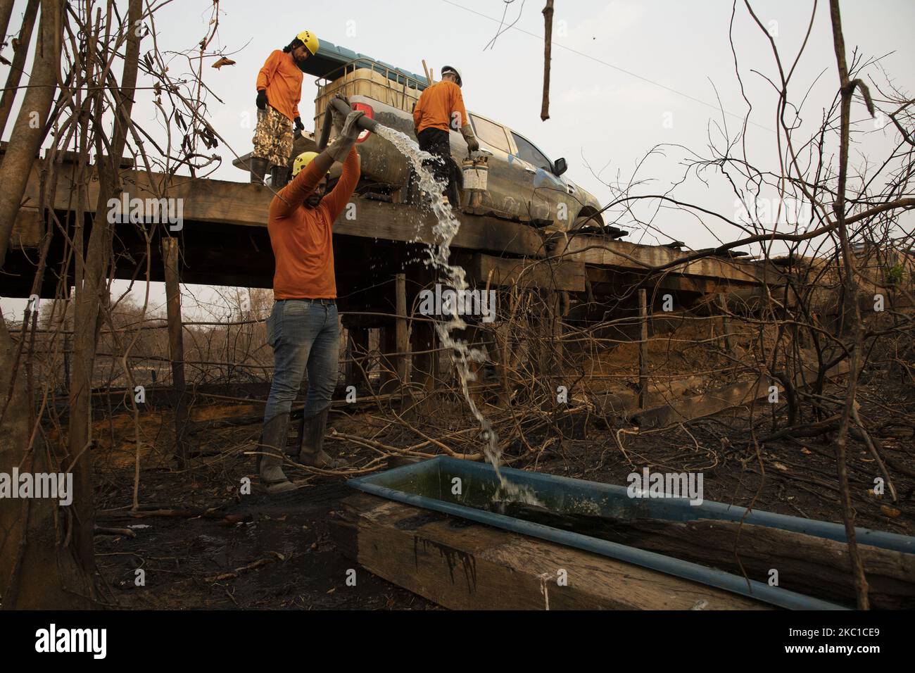 Volunteers from the GRAD Group (Animal Rescue Group in Disasters ...