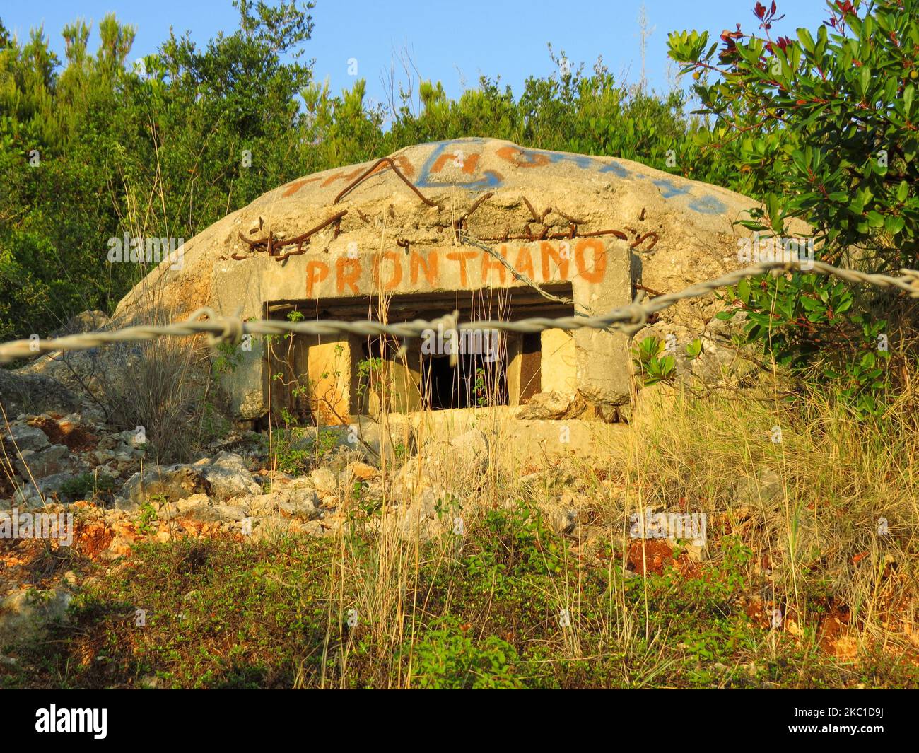 A stone bunker of the Cold War in central Albania surrounded by trees ...