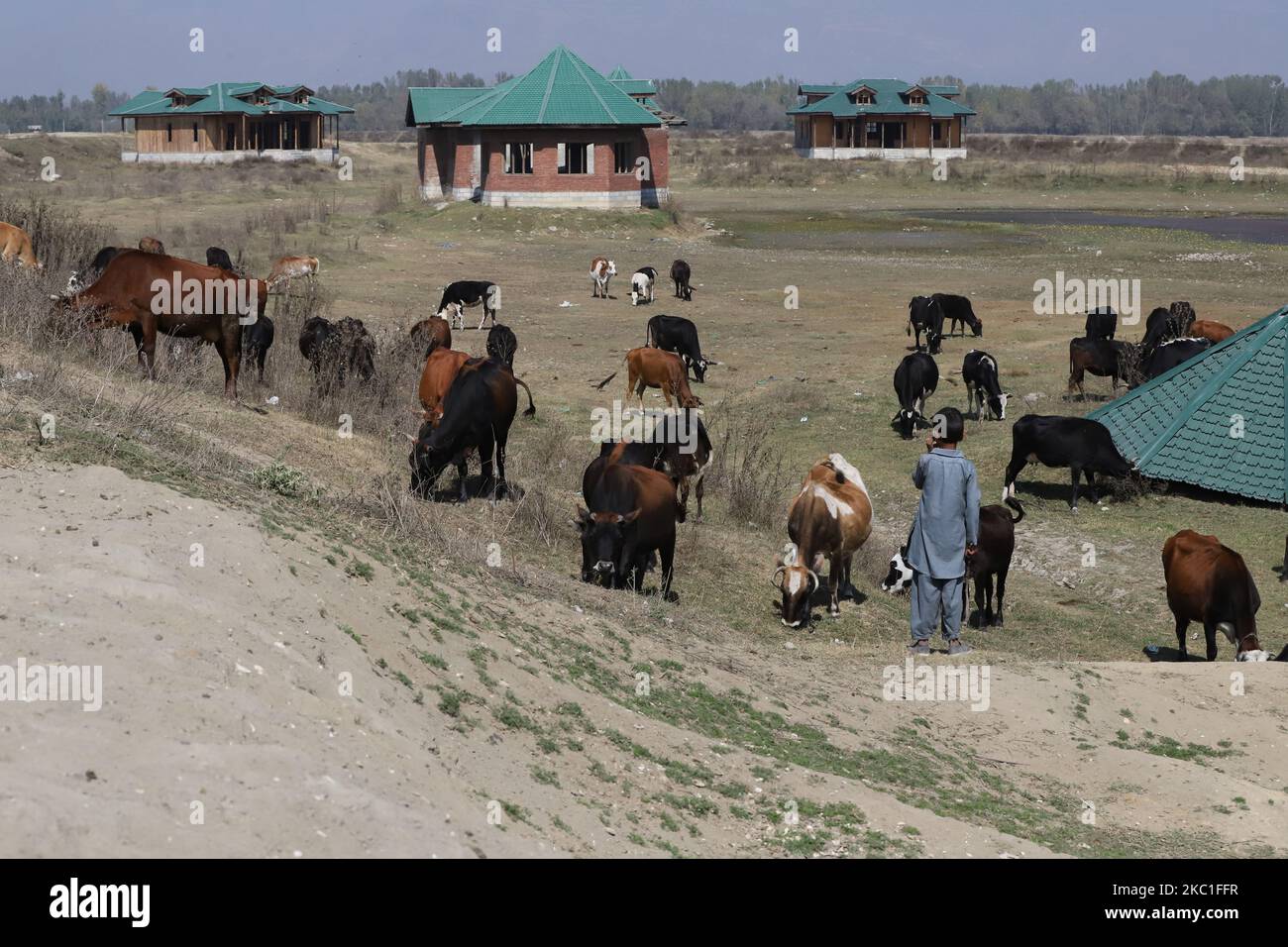Outskirts of sopore hi-res stock photography and images - Alamy