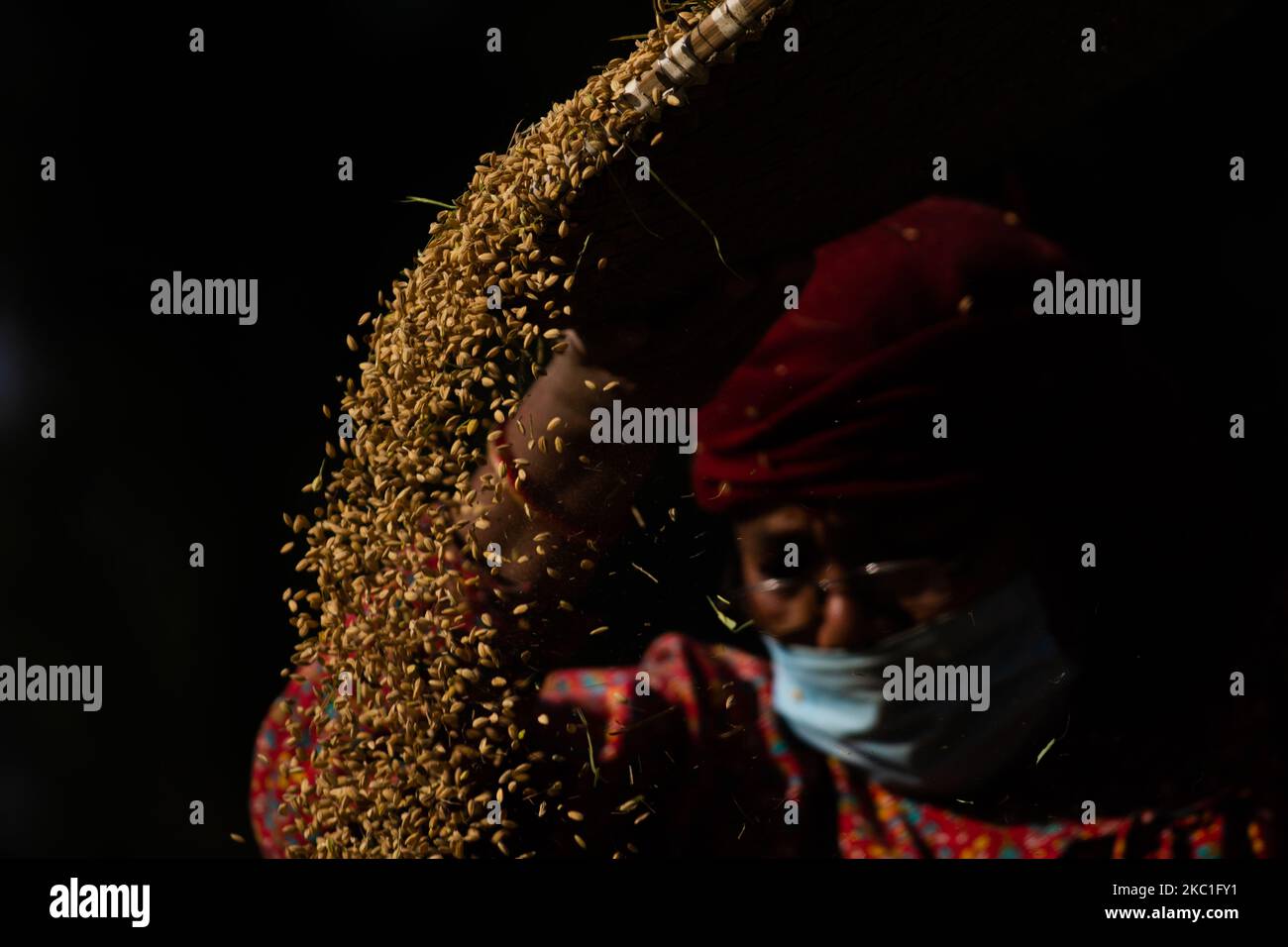 A Nepalese woman separates chaff from rice seeds in the traditional ...