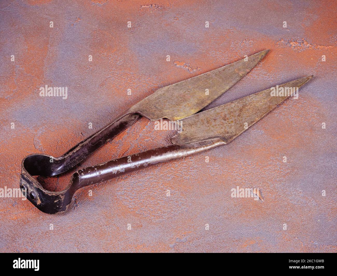 Old rusty shear shears on a grunge orange background Stock Photo - Alamy