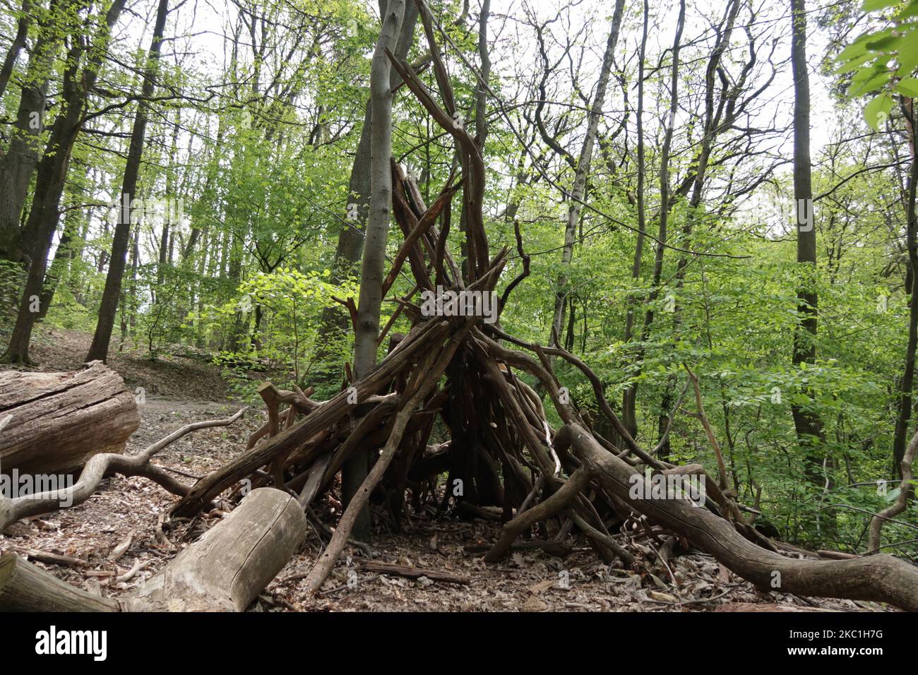 A simple bushcraft shelter made of sticks, logs and branches surrounded ...