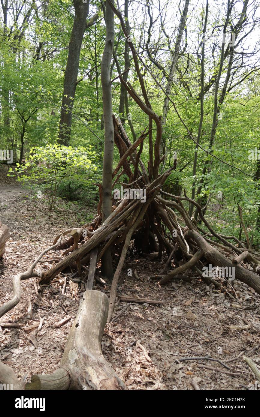 A simple bushcraft shelter made of sticks, logs and branches surrounded ...
