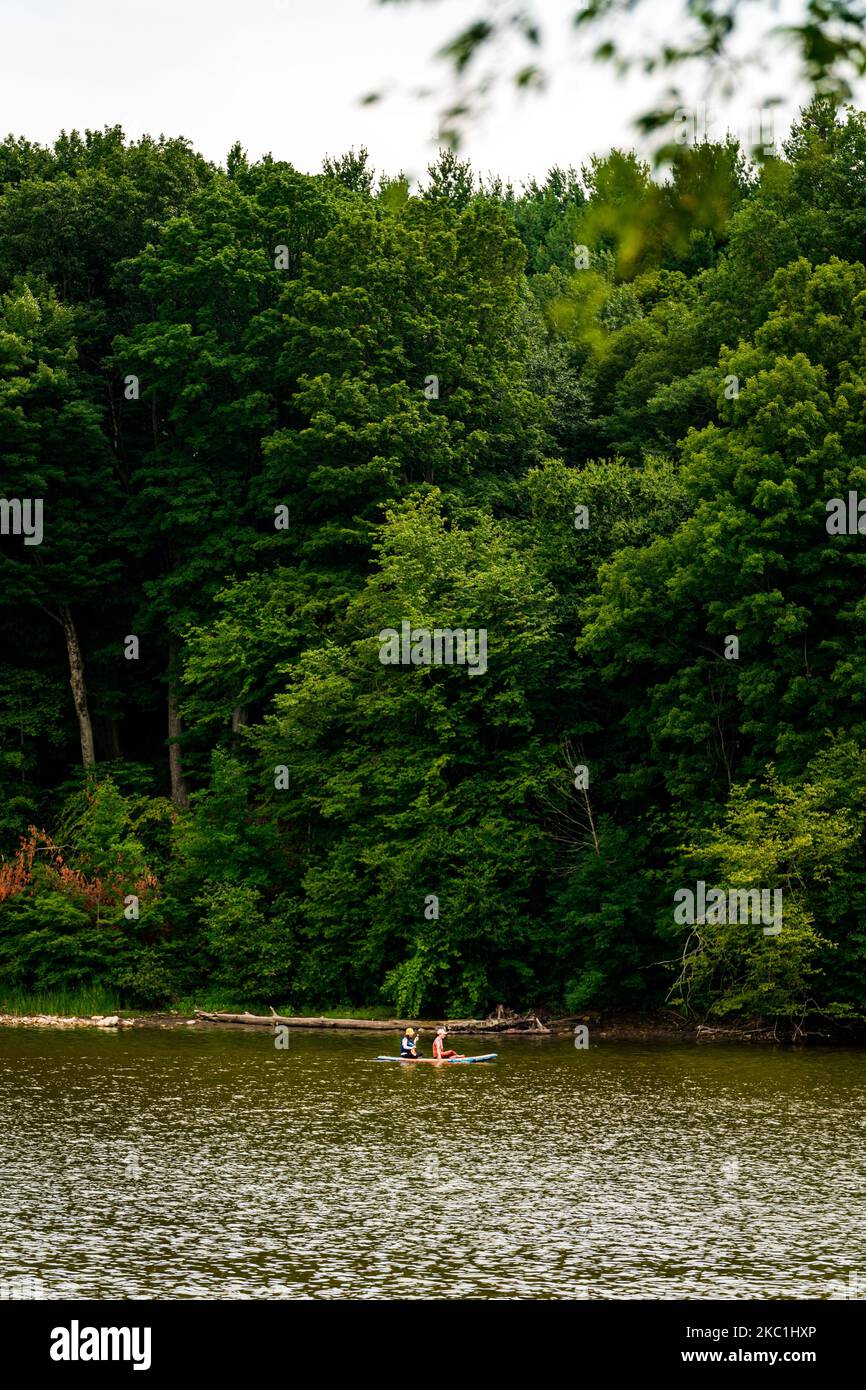 A vertical shot of a river with dense green shoreline trees Stock Photo ...