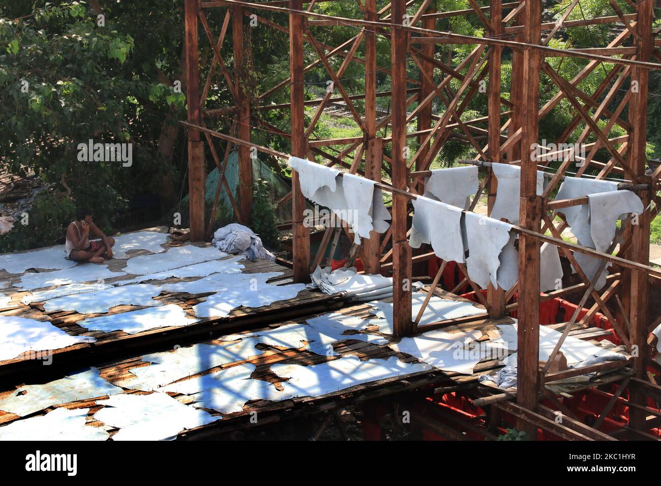 Processed rawhide hi-res stock photography and images - Alamy