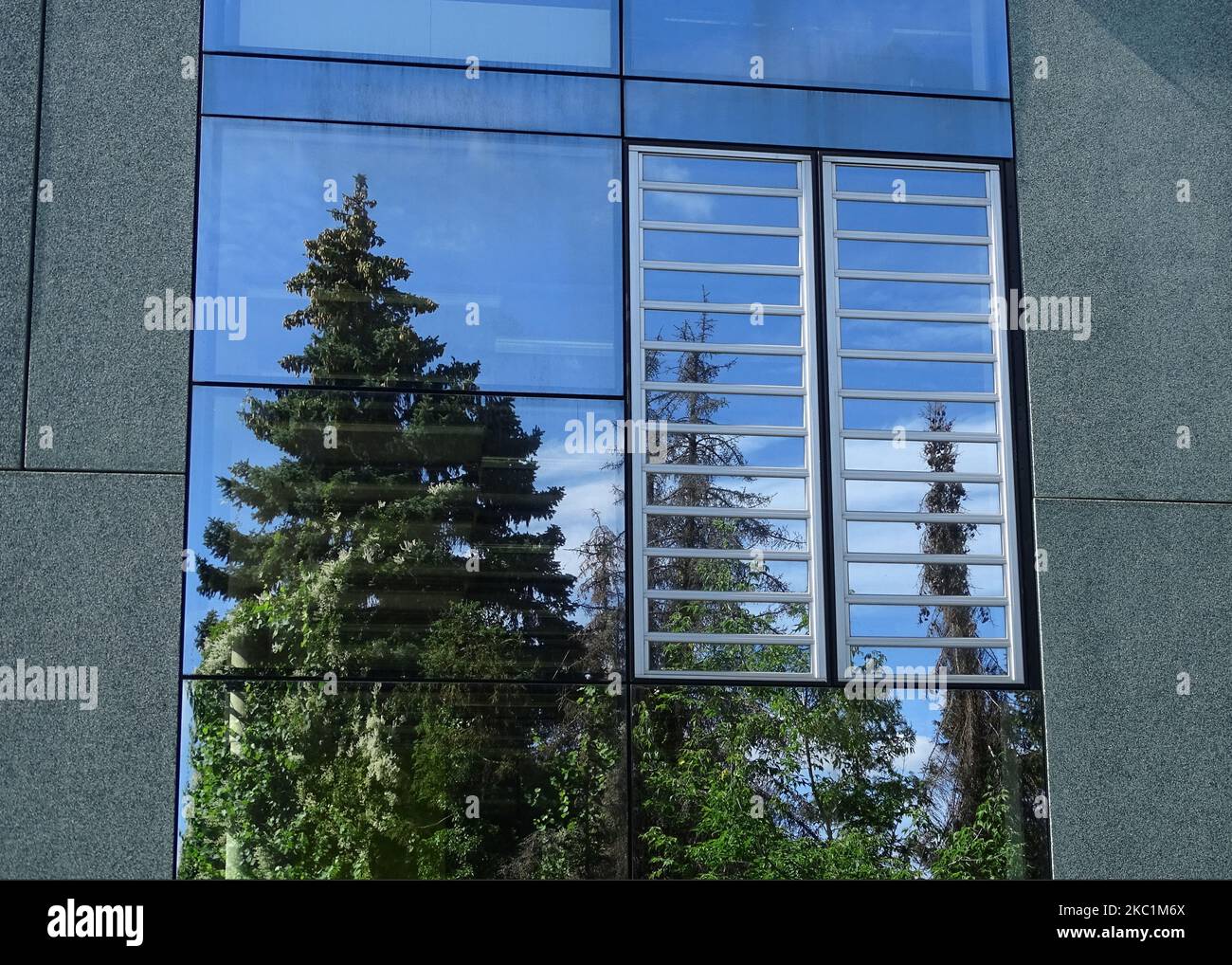 A window in front of a garden with pine trees with a blue cloudy sky in ...