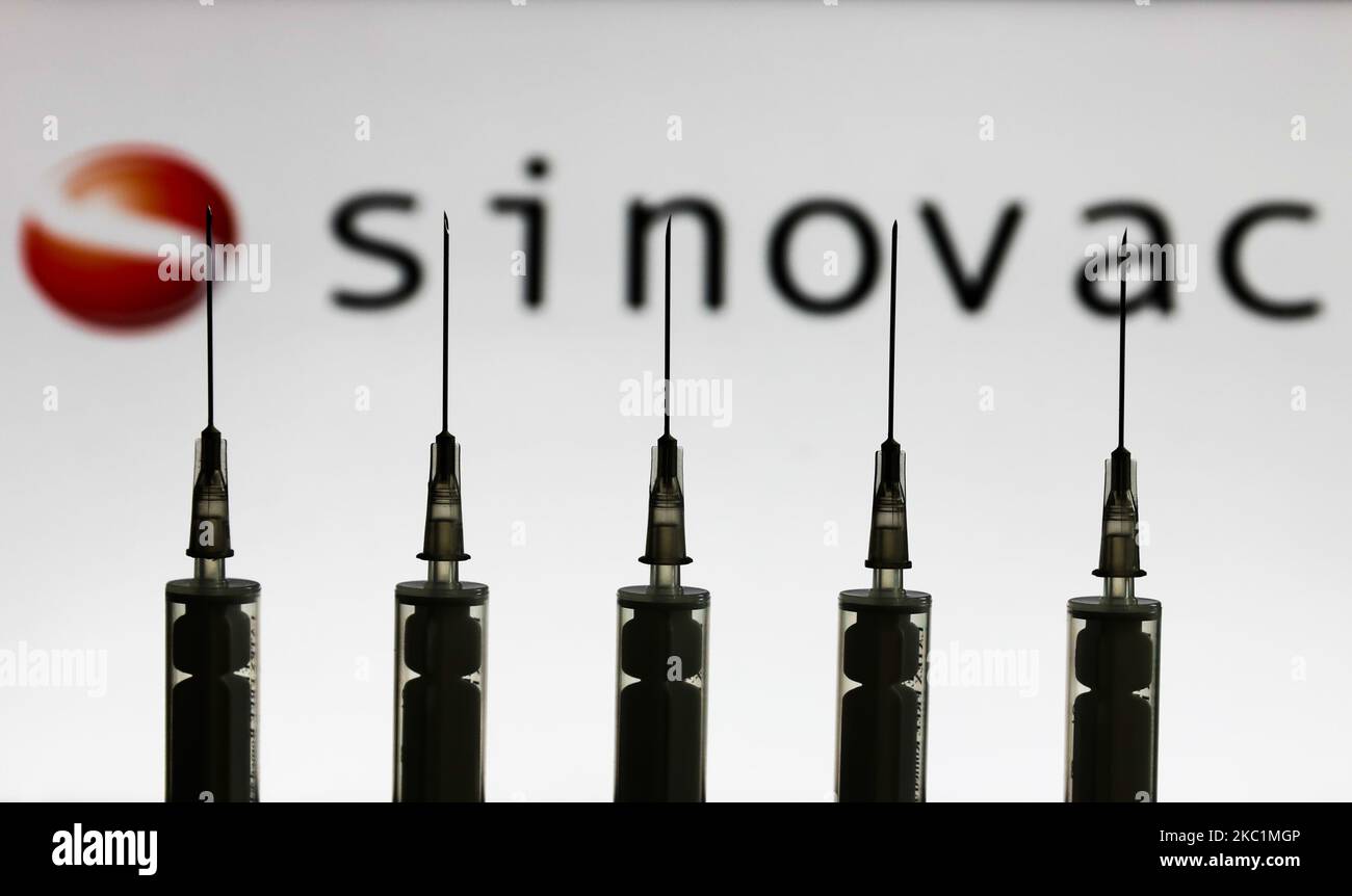 Medical syringes are seen with Sinovac Biotech company logo displayed ...