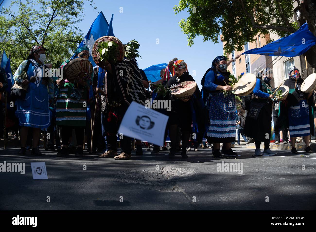 Mapuche tree hi-res stock photography and images - Alamy