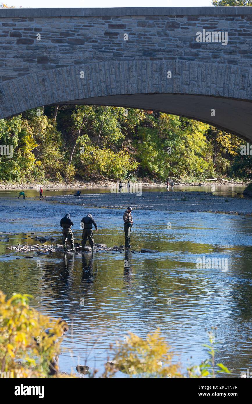 Fishermen try to catch the fish below the dam. Fish trying to go up and ...
