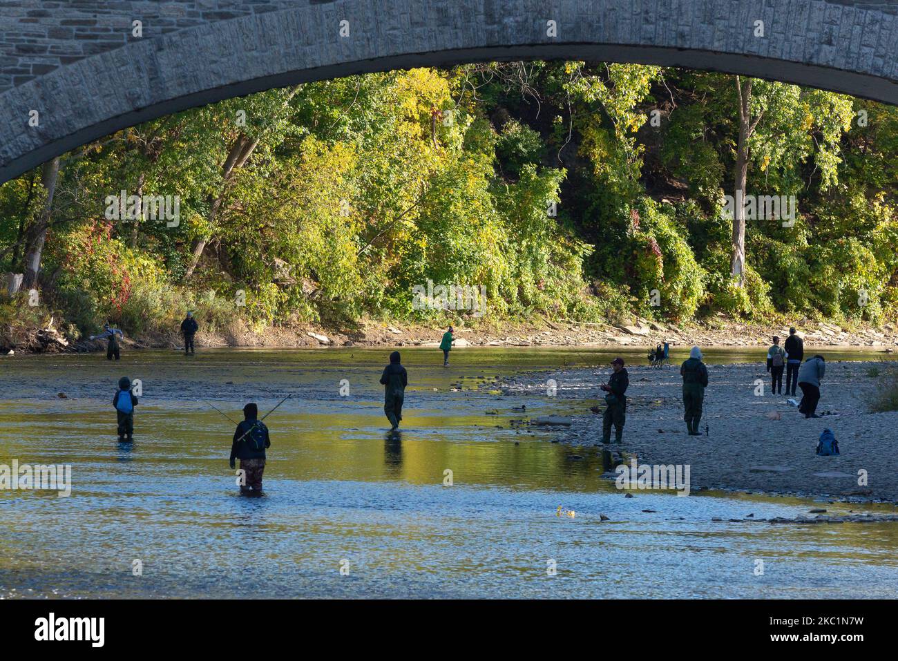 Fishermen try to catch the fish below the dam. Fish trying to go up and ...
