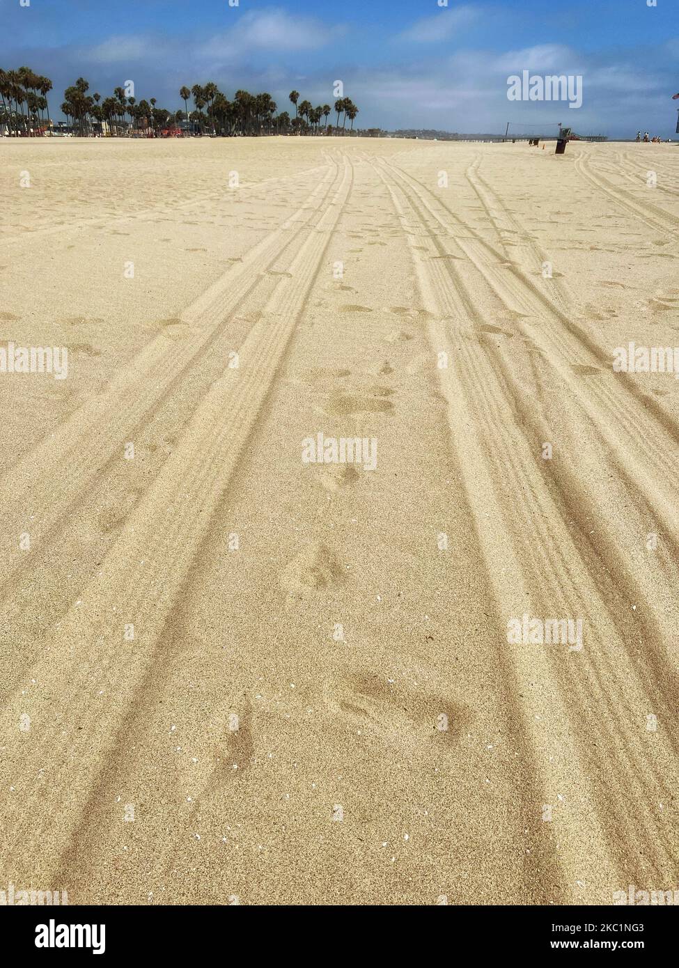 A vertical shot of a car trail on a beach sand with foot trails in the ...
