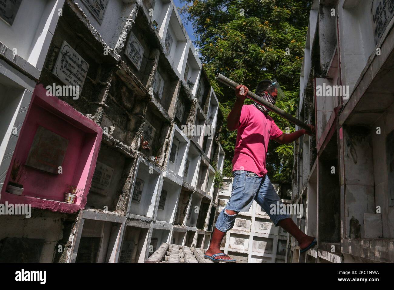Erwin (in pink), working as exhumer and sepulture in public cemetery in ...