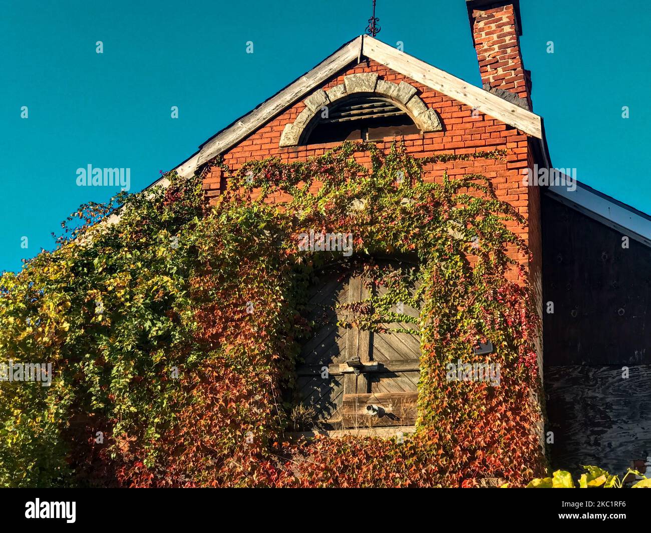 An old stone hut house with overgrown dried trees and plants with a ...