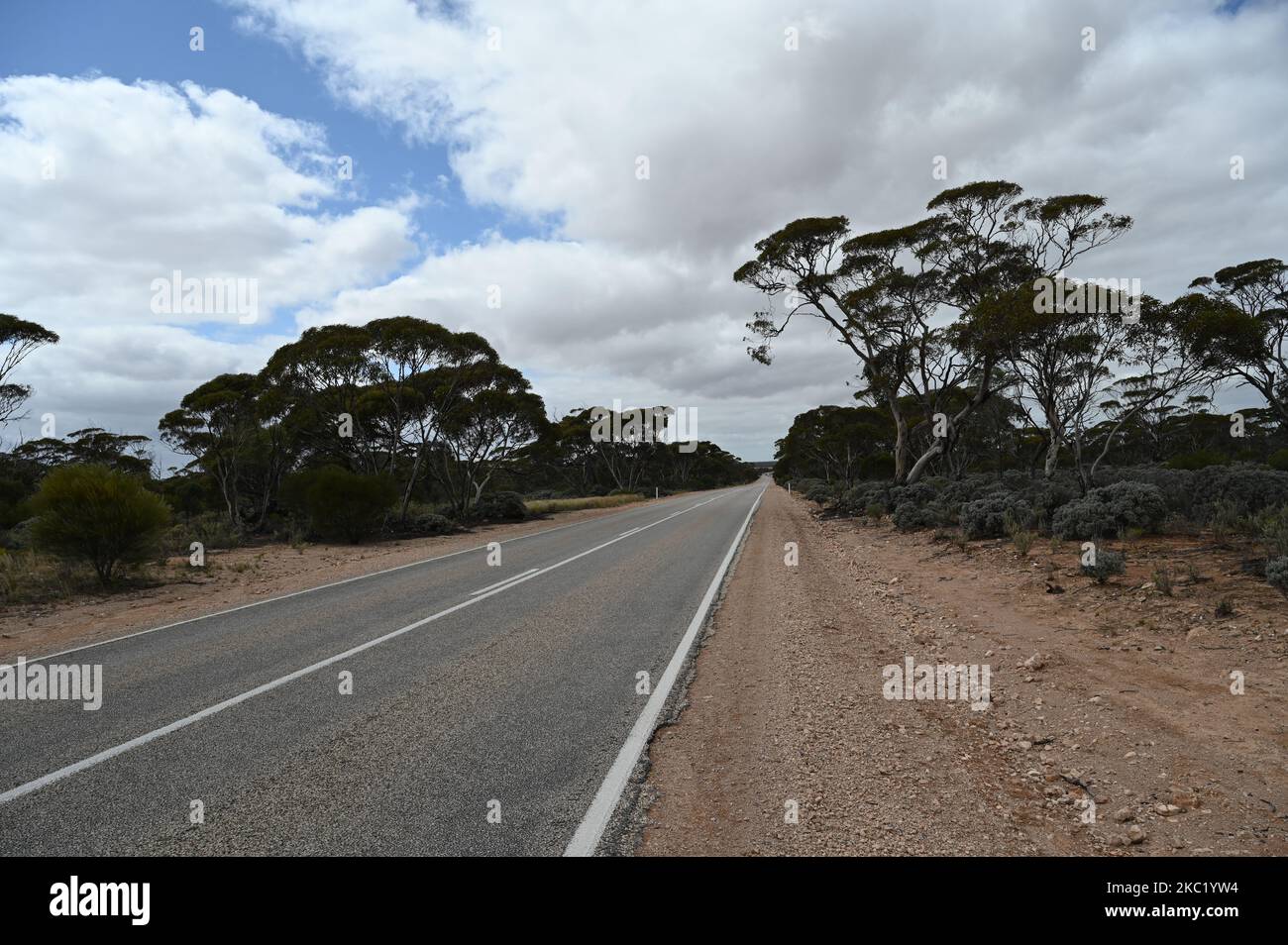 Trees of the australian outback hi-res stock photography and images - Alamy