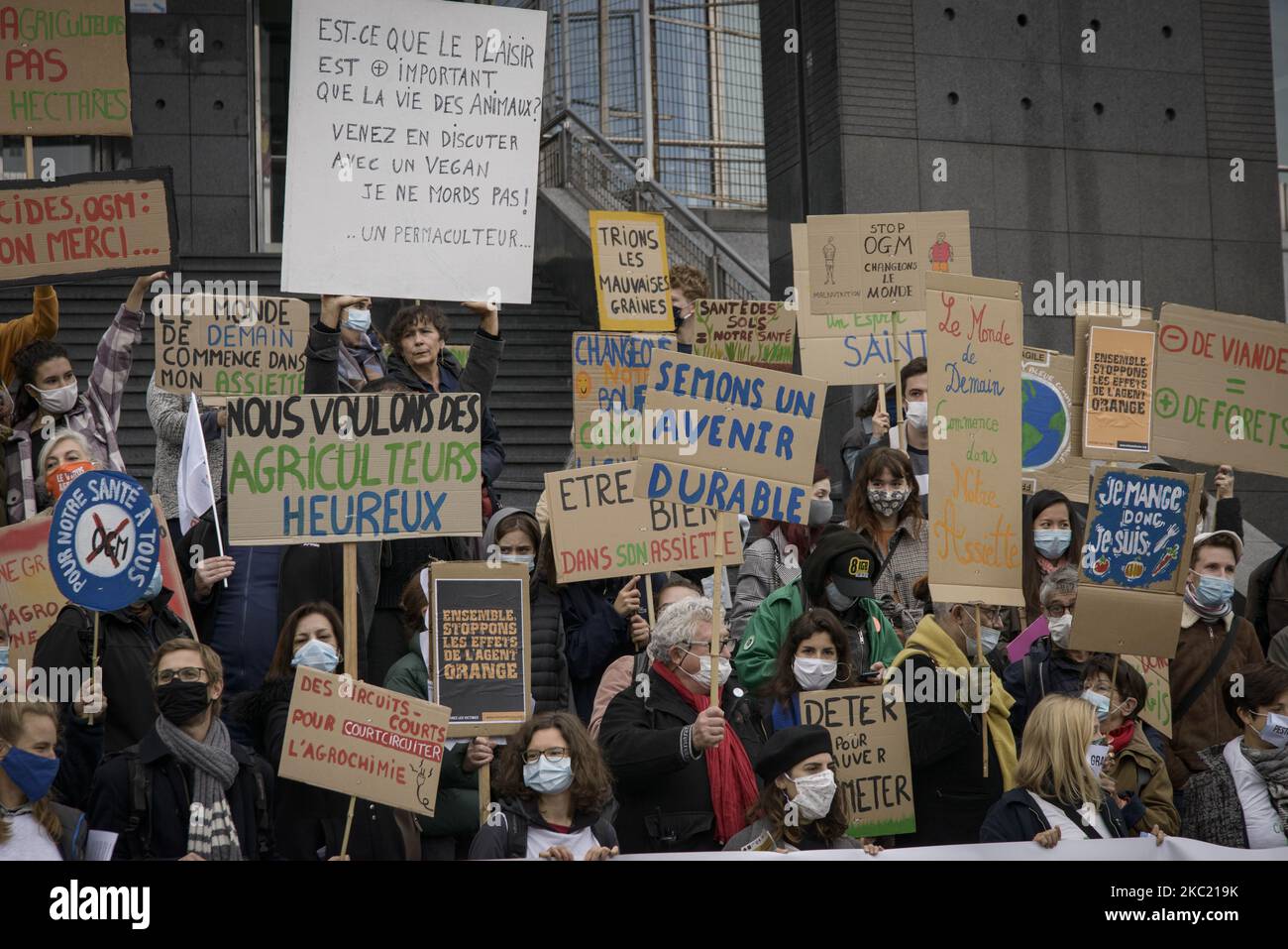 Reform pac hi-res stock photography and images - Alamy