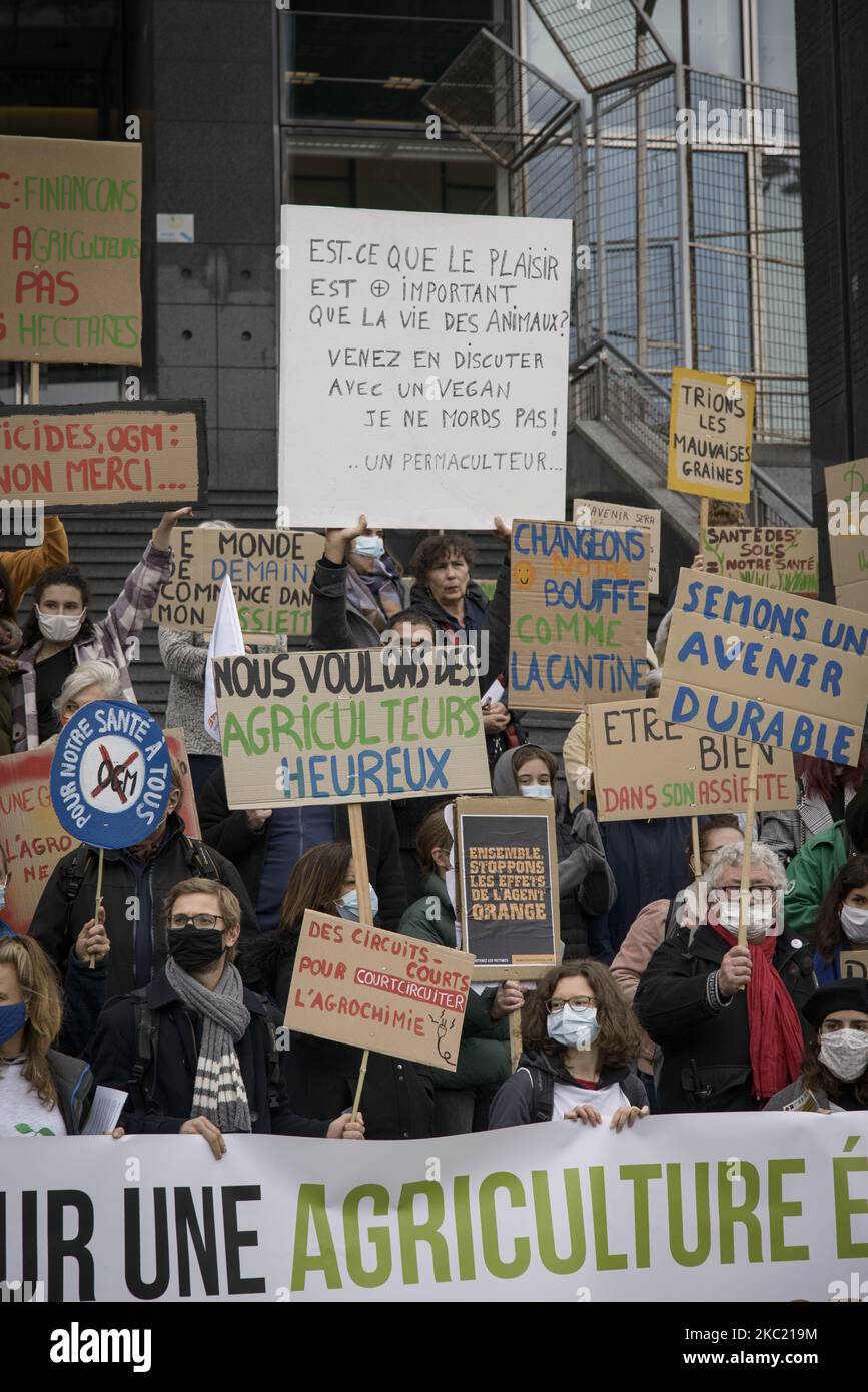 Reform pac hi-res stock photography and images - Alamy