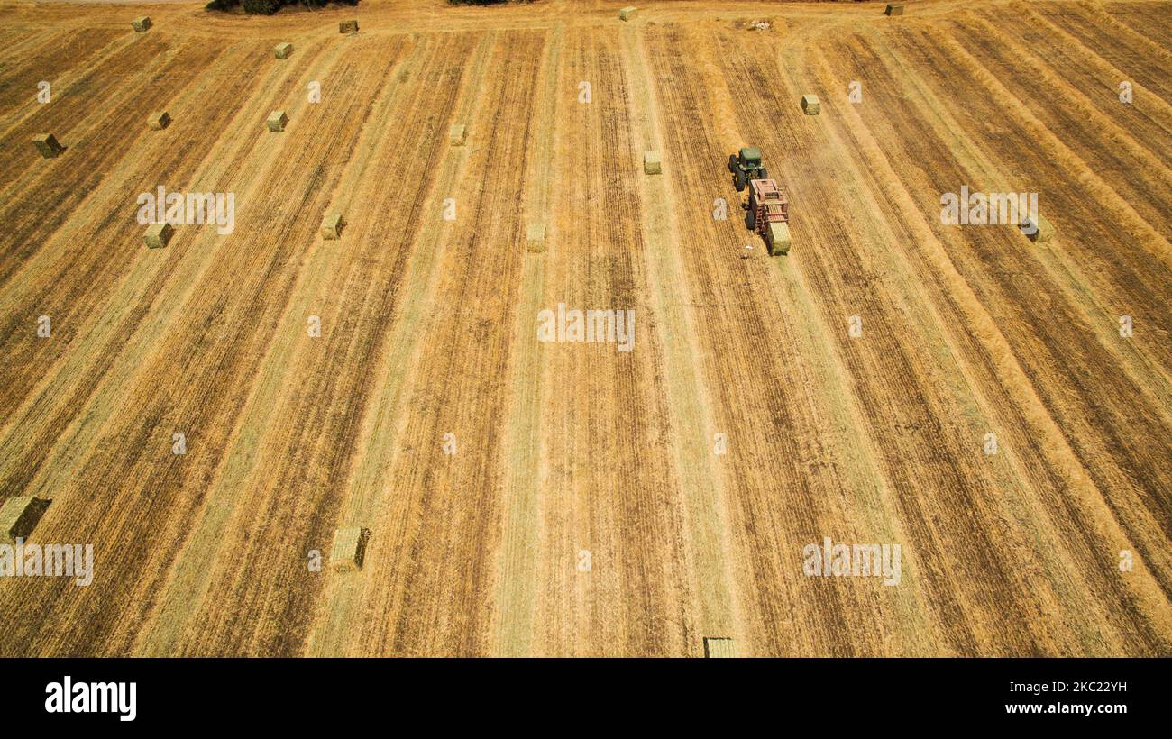 Aerial flight view of a cube baler tractor discharges a fresh wheat ...
