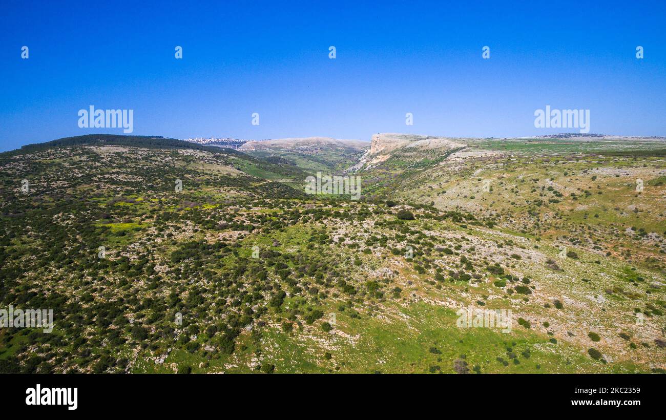 Aerial view shot flying over green hills fields, trees and meadow ...