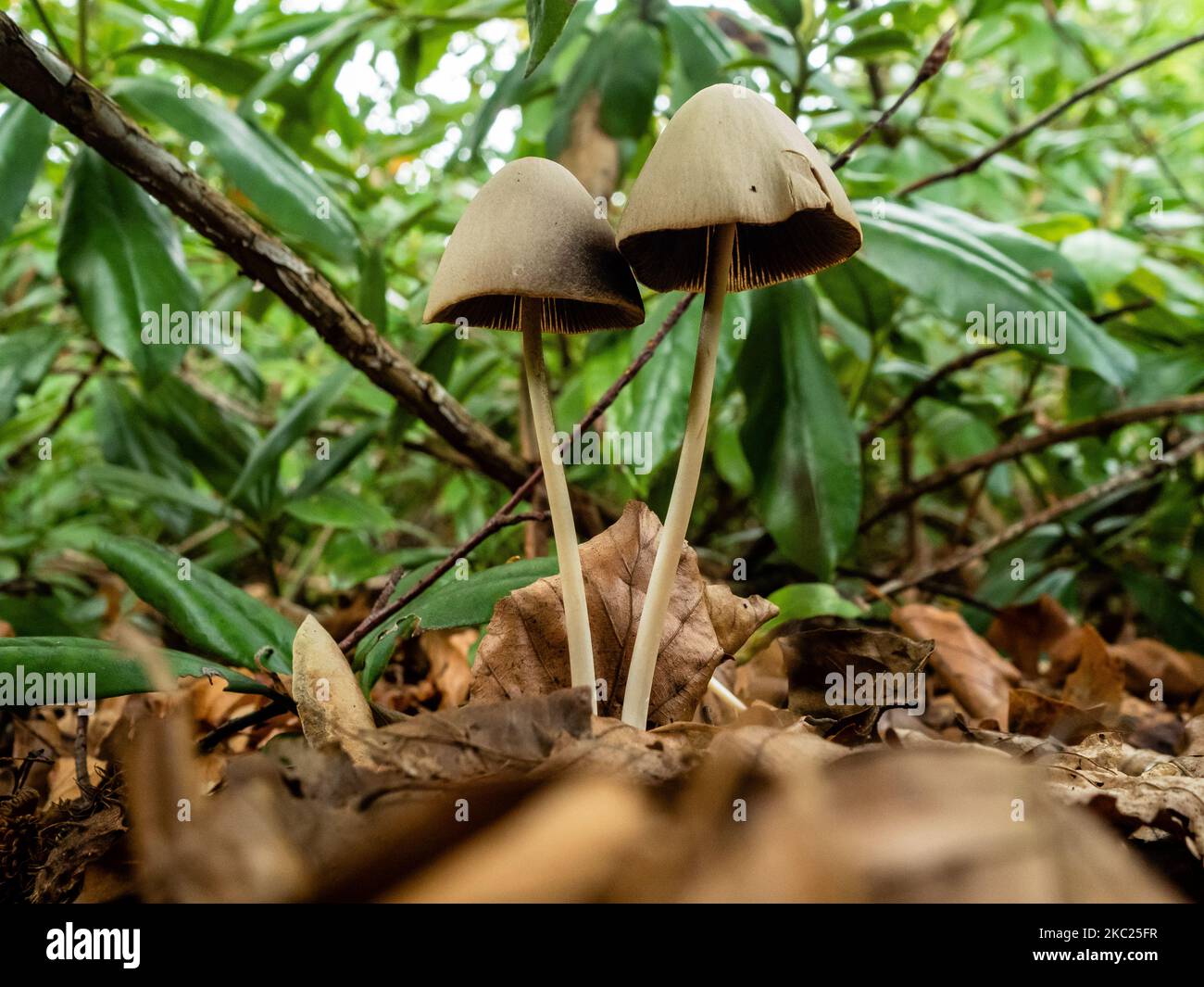 October 18th, Nijmegen. During the season, the landscape in The ...