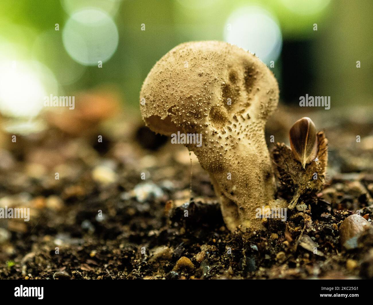 October 18th, Nijmegen. During the season, the landscape in The ...