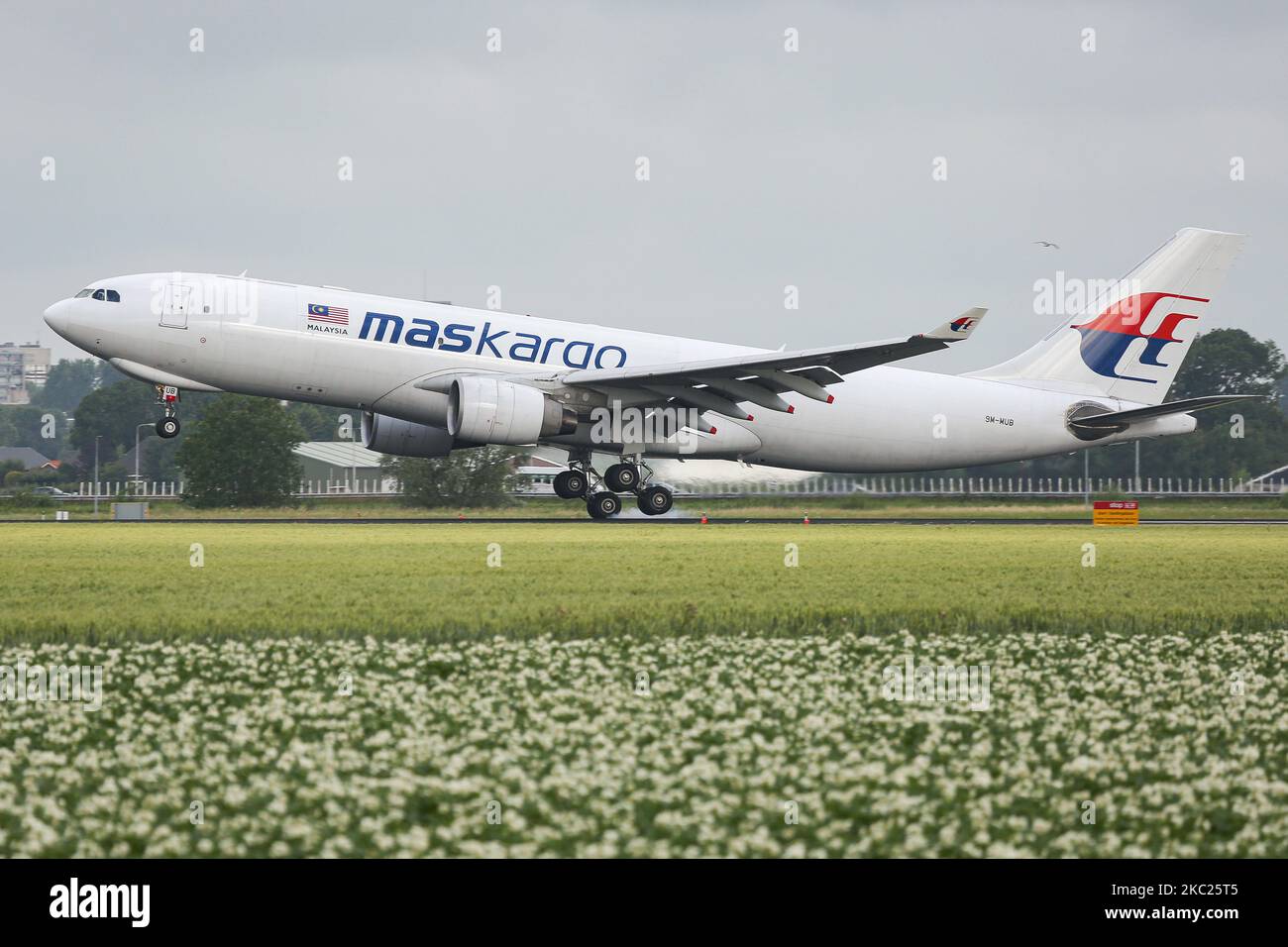 Maskargo hi-res stock photography and images - Alamy