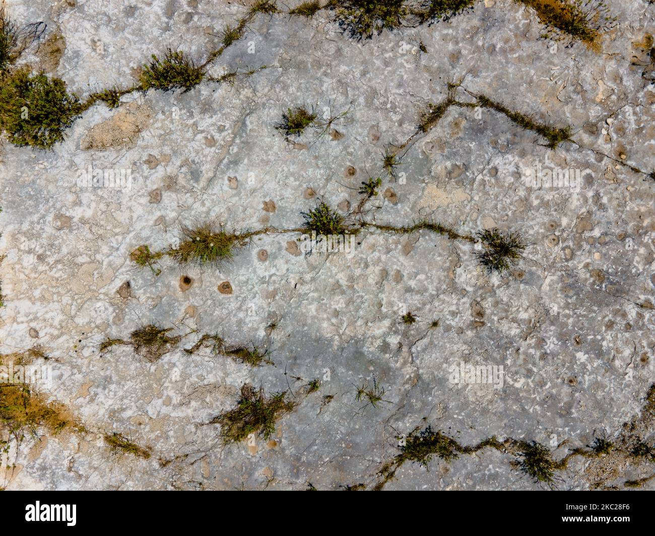 Detail of dinosaur footprints in limestone formations in a period ...