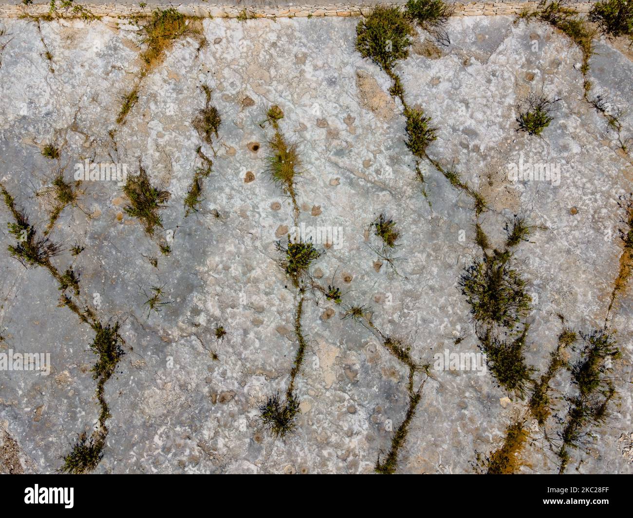 Detail of dinosaur footprints in limestone formations in a period ...