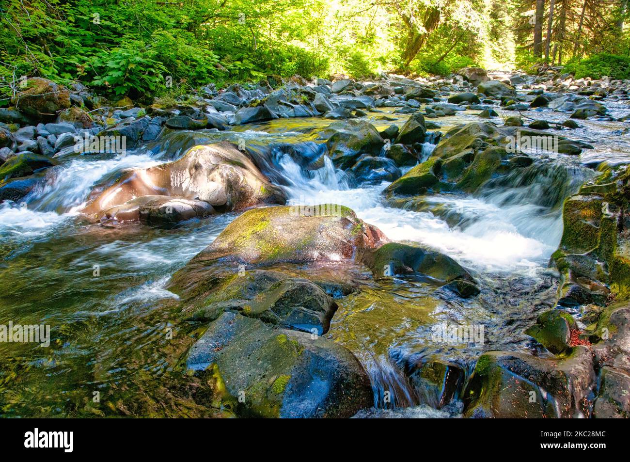 A river flowing through the rocks surrounded by the forests under the ...