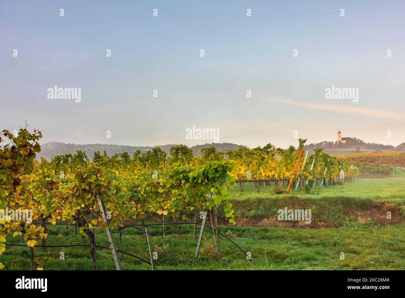 Krems an der Donau: autumn colors, vineyards of village Wagram ob der ...