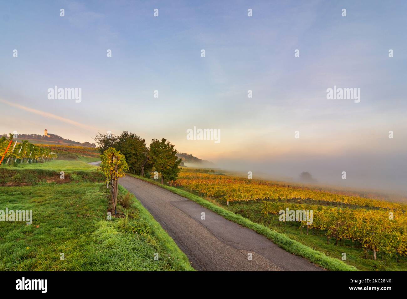 Vineyards of village wagram ob der traisen hi-res stock photography and ...