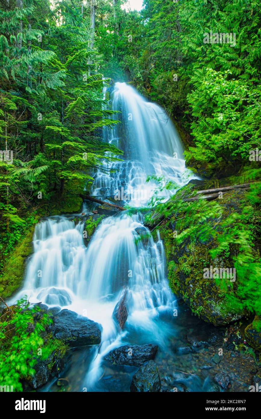 A river flowing through the rocks surrounded by the forests under the ...