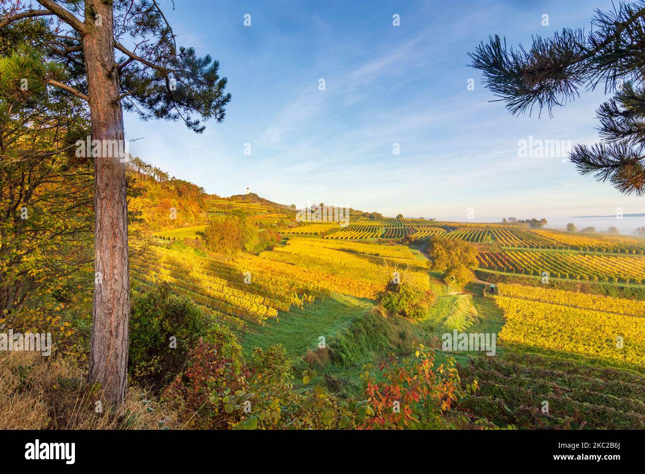 Krems an der Donau: autumn colors, vineyards of village Wagram ob der ...
