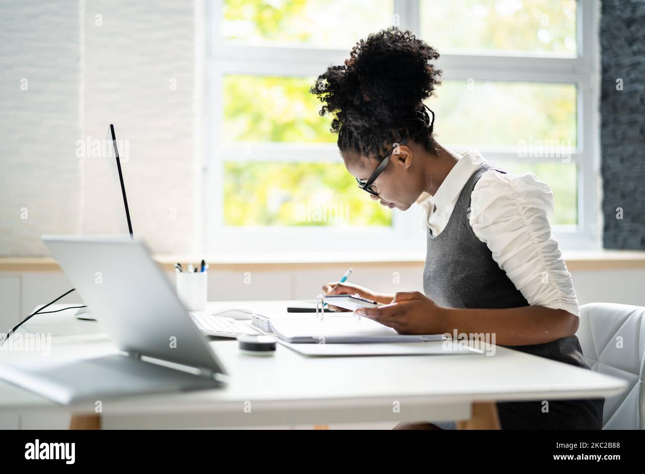 Financial Business Accountant And Professional Auditor Advisor Stock ...