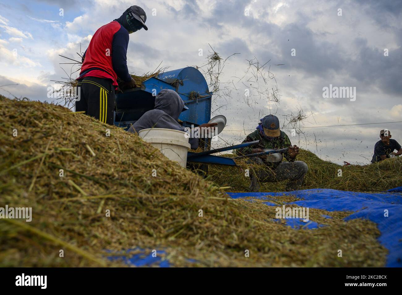 Tons of milled dry unhulled rice hi-res stock photography and images ...