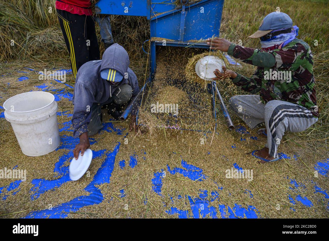 Tons of milled dry unhulled rice hi-res stock photography and images ...