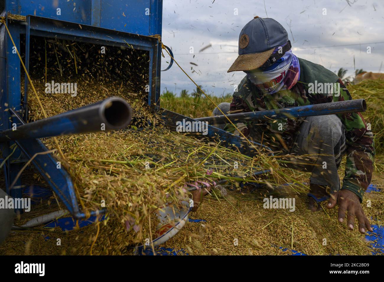 Tons of milled dry unhulled rice hi-res stock photography and images ...