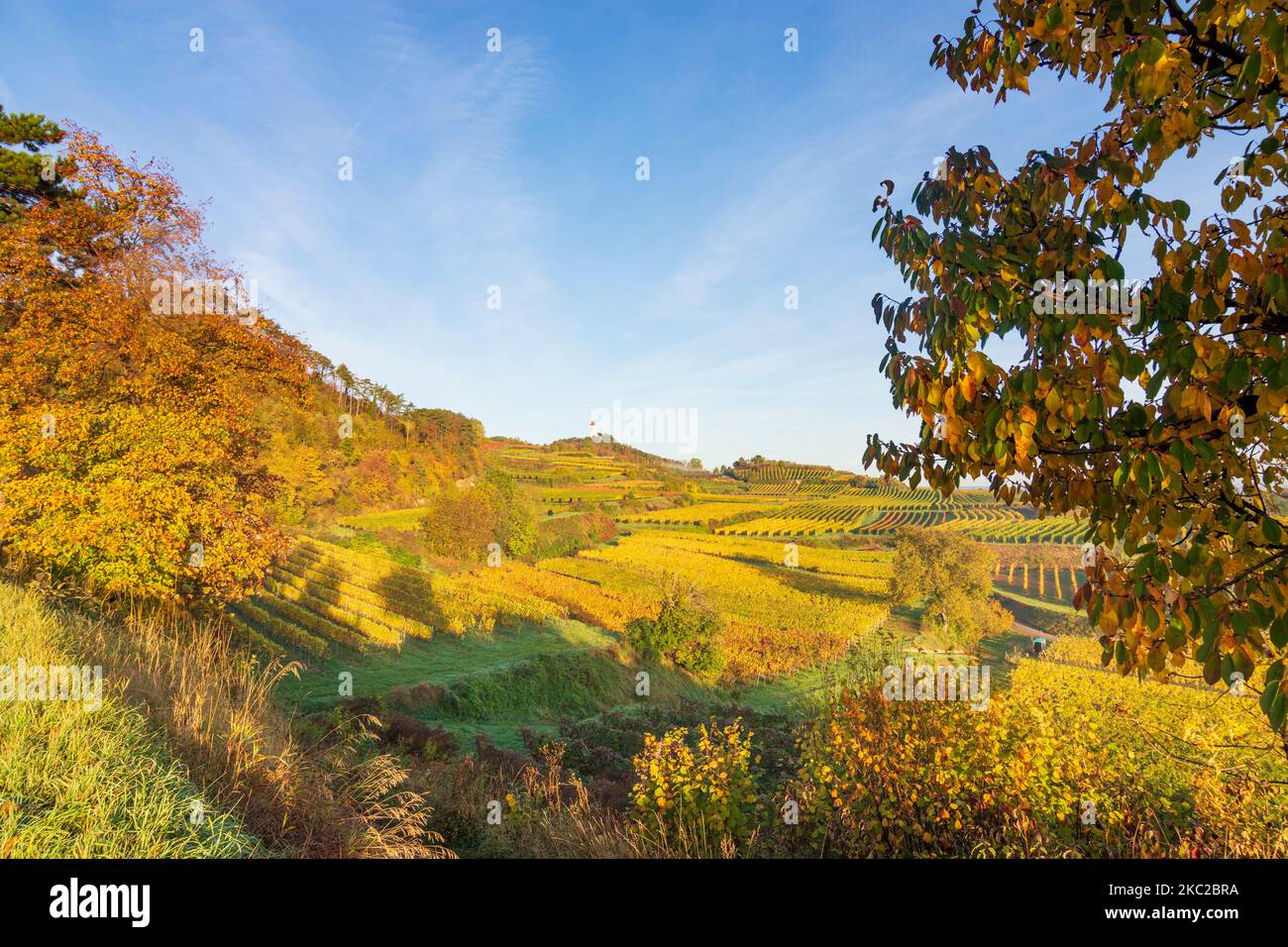 Krems an der Donau: autumn colors, vineyards of village Wagram ob der ...