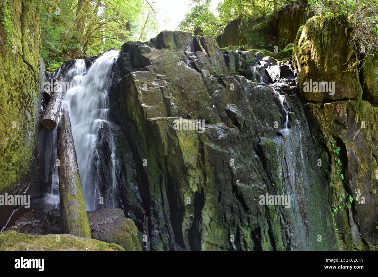 Sweet Creek Falls Waterfall along Hiking Trail Complex near Mapleton ...