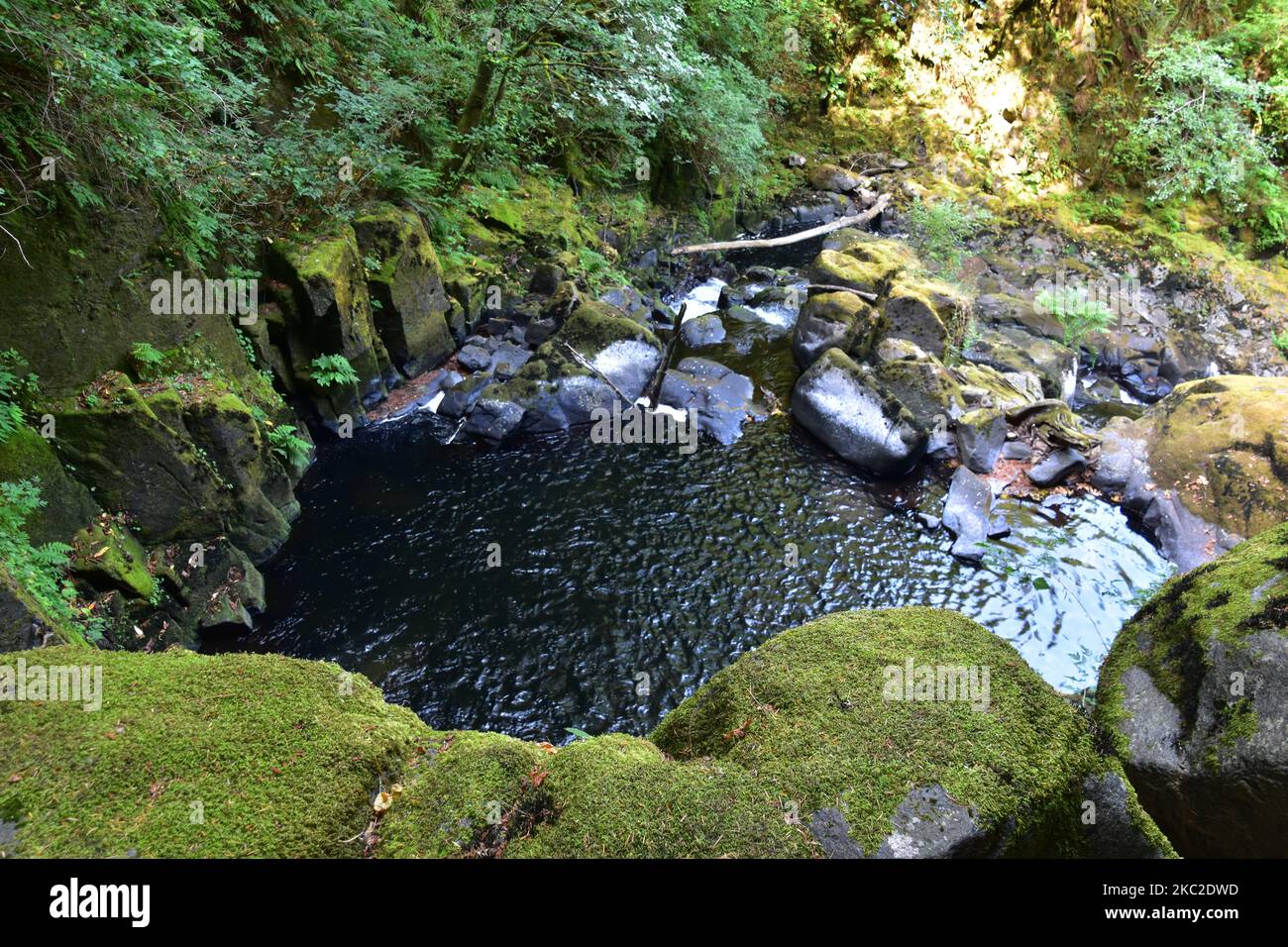 Sweet Creek Falls Waterfall along Hiking Trail Complex near Mapleton ...