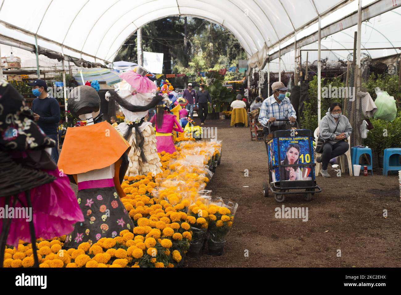 Palacio de la Flor (Flower Palace), an association of flower and ...