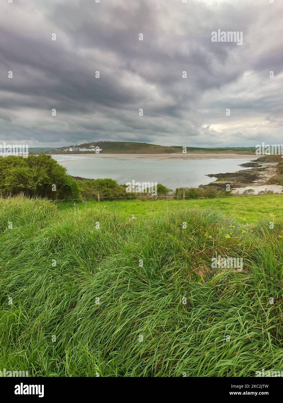 Thick green grass on a hill near the sea bay. Cloudy sky over ...