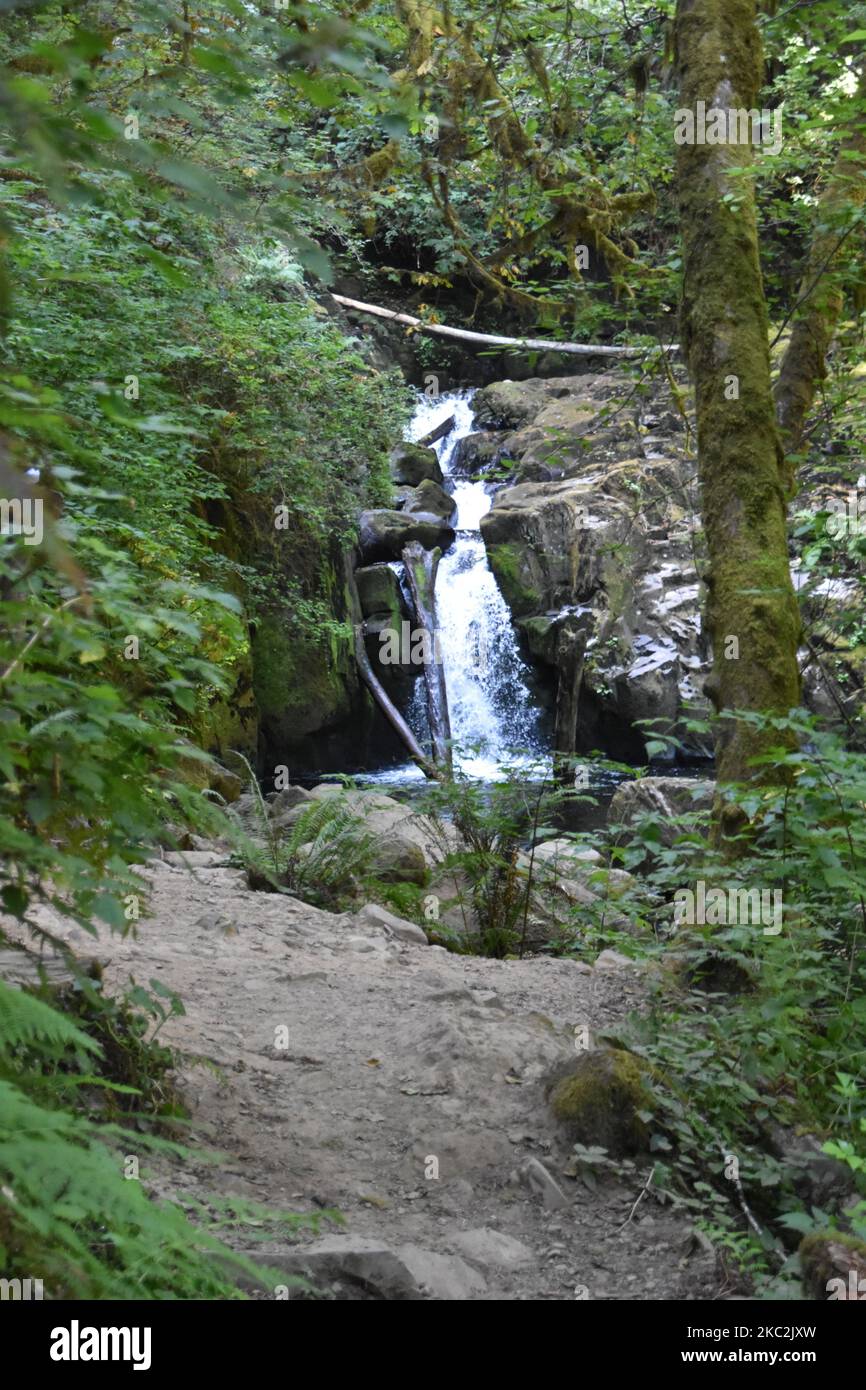 Sweet Creek Falls Waterfall along Hiking Trail Complex near Mapleton ...