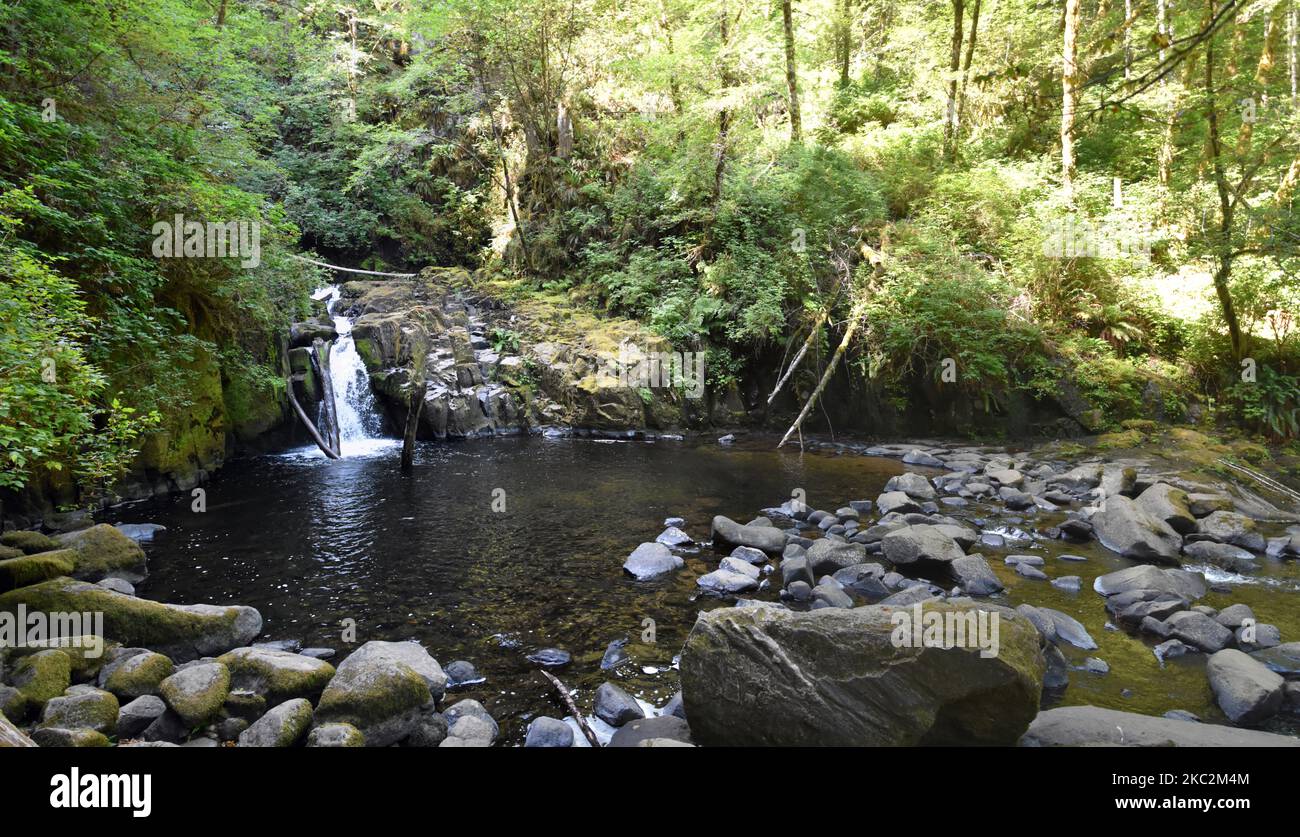 Sweet Creek Falls Waterfall along Hiking Trail Complex near Mapleton ...
