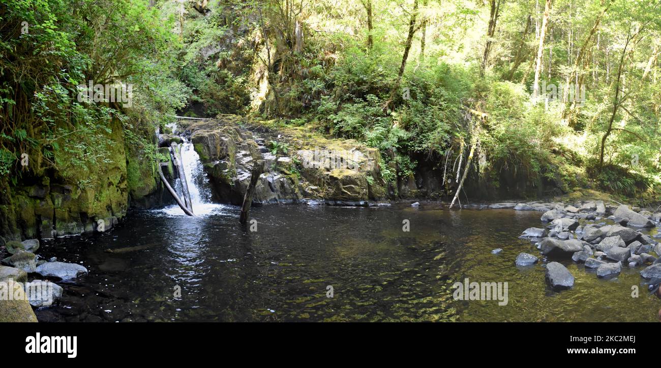 Sweet Creek Falls Waterfall along Hiking Trail Complex near Mapleton ...