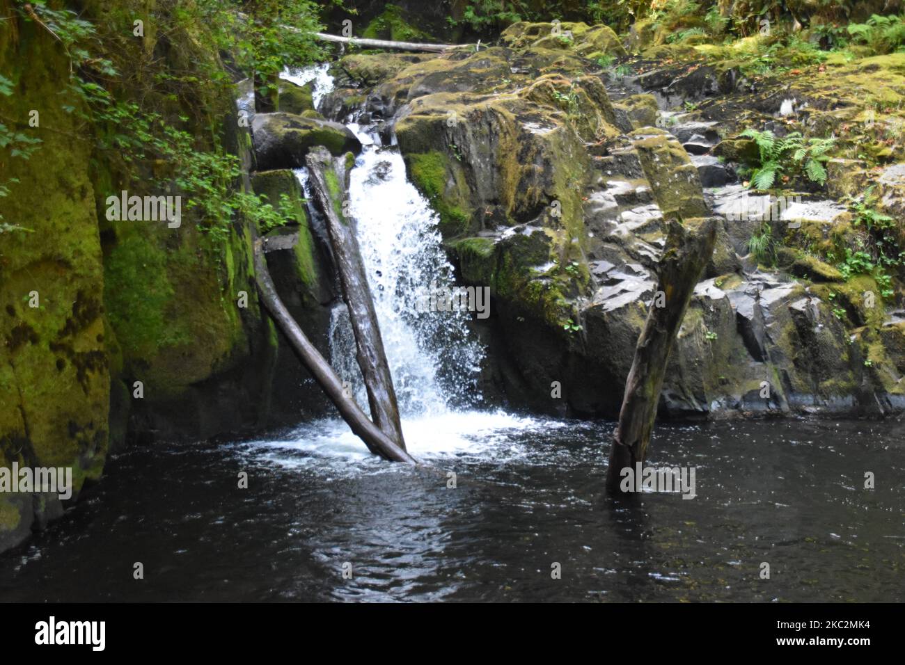 Sweet Creek Falls Waterfall along Hiking Trail Complex near Mapleton ...