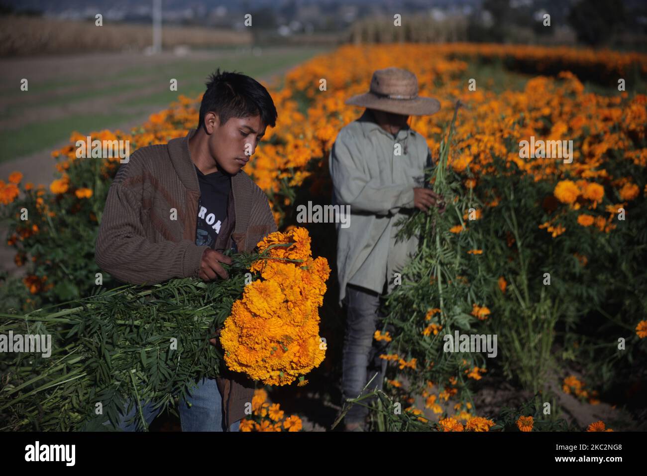 David peinado nurphoto hi-res stock photography and images - Alamy