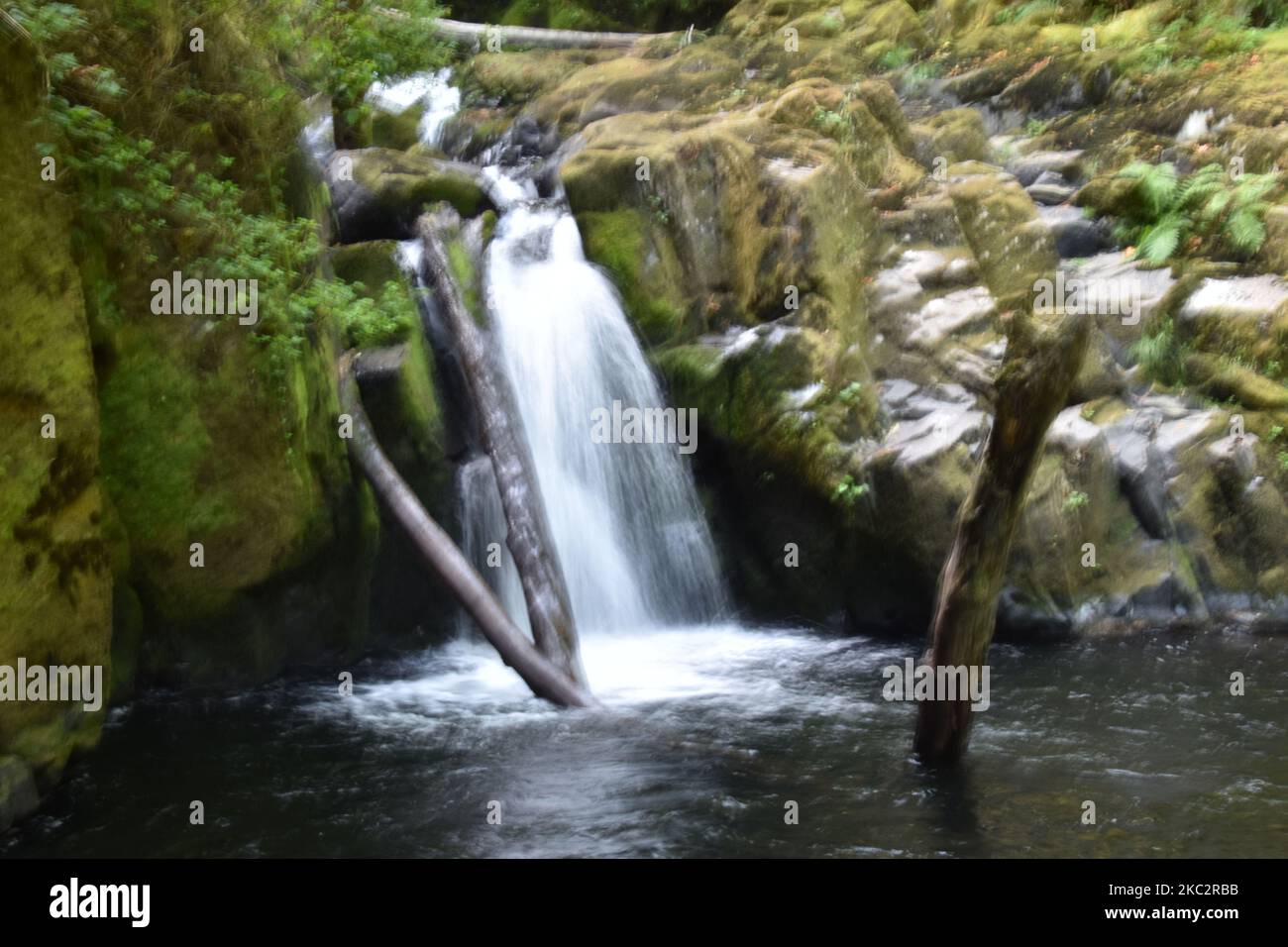 Sweet Creek Falls Waterfall along Hiking Trail Complex near Mapleton ...