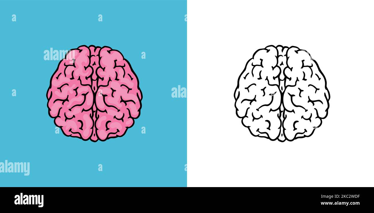 Human brain. Nervous system. Retro vector illustration for woodcut or ...